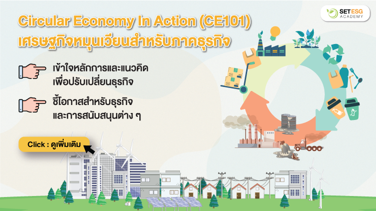 CE 101 e-Learning : CE 101 e-Learning: Circular Economy in Action ...